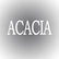 ACACIA Car Window Sticker - Greek Accessories – Something Greek